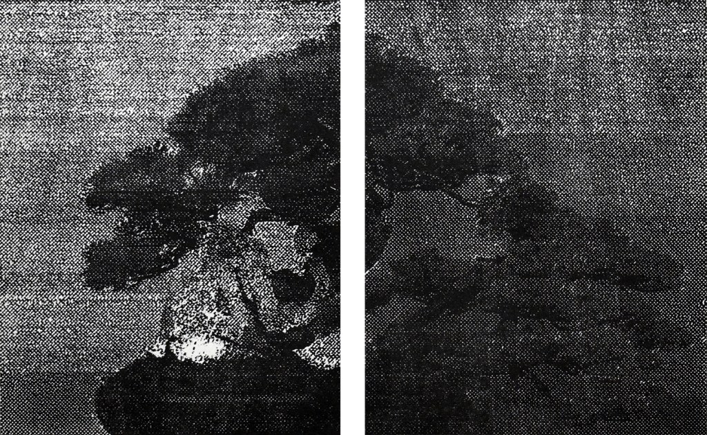Interview: Katsutoshi Yuasa, from photographic imagination to woodcut ...
